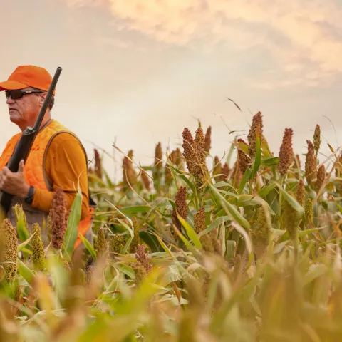 South Dakota Hunting Licenses | Travel South Dakota