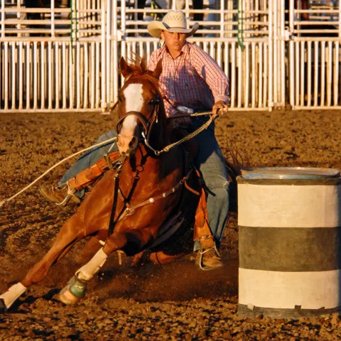 Rodeo Terms and Definitions | Travel South Dakota