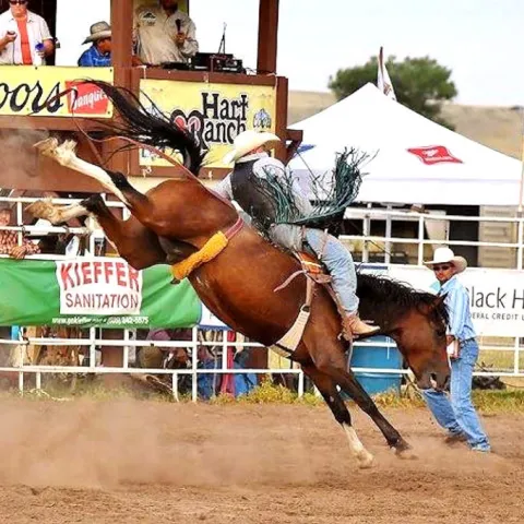 Wild West Wednesdays Rodeo | Travel South Dakota